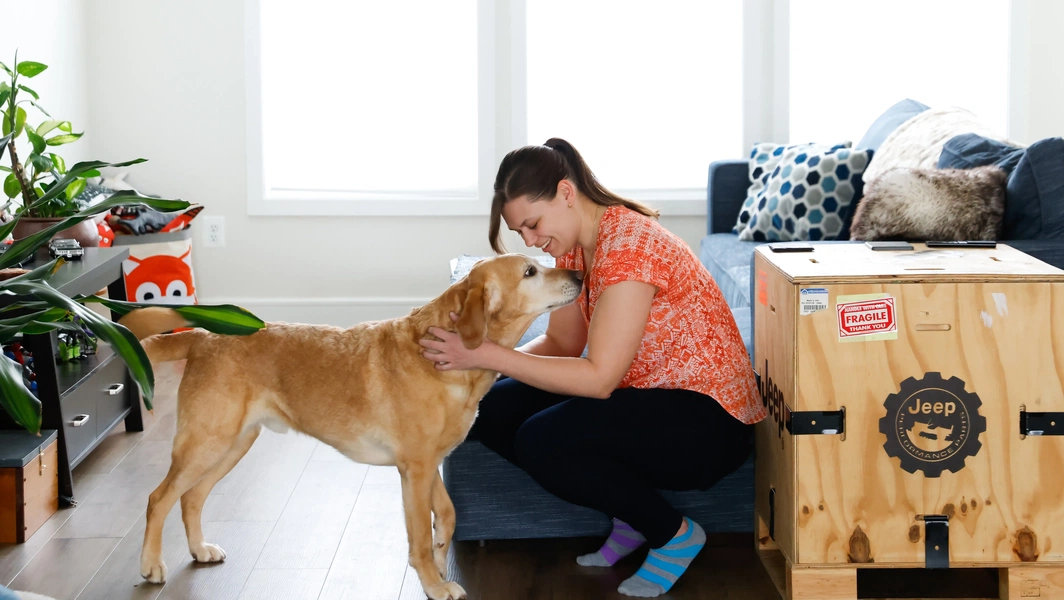 6 creative at‑home activities for dogs