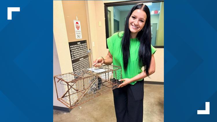 Bellmead police rescue kitten from storm drain