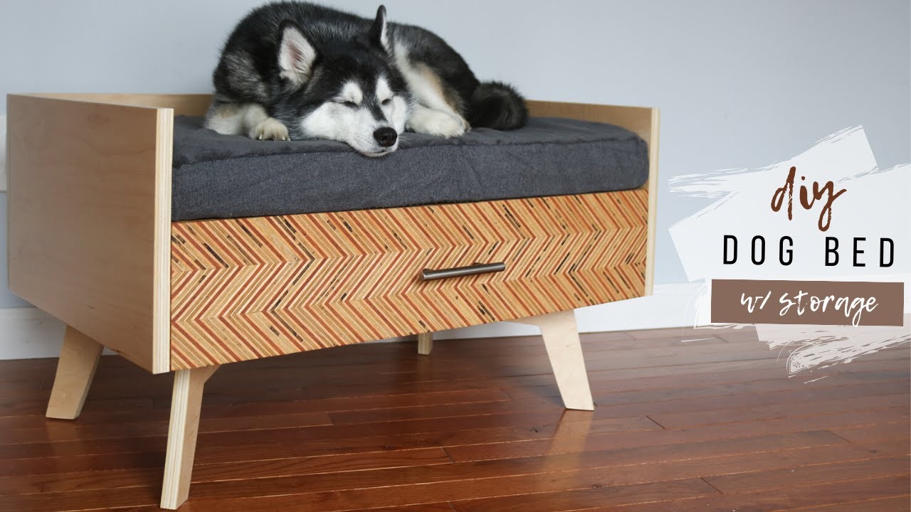 Craft a unique DIY dog bed with storage