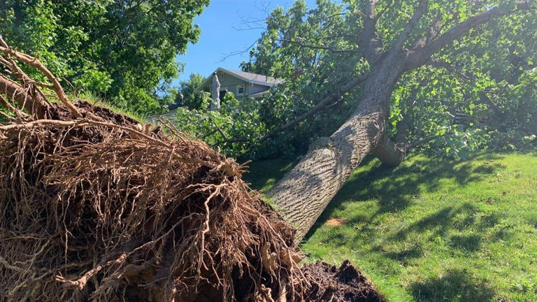 Severe weather causes extensive damage for homeowners in St. Joseph County