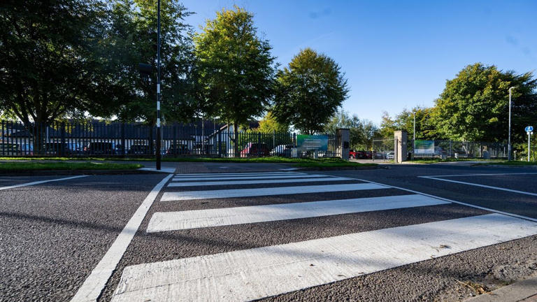 Children at special school in Cork need full-time therapists urgently