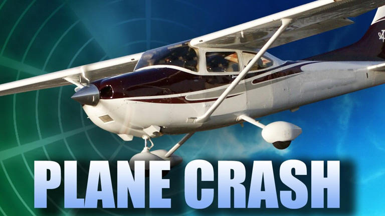 Henderson man dies after plane crashes Thursday night