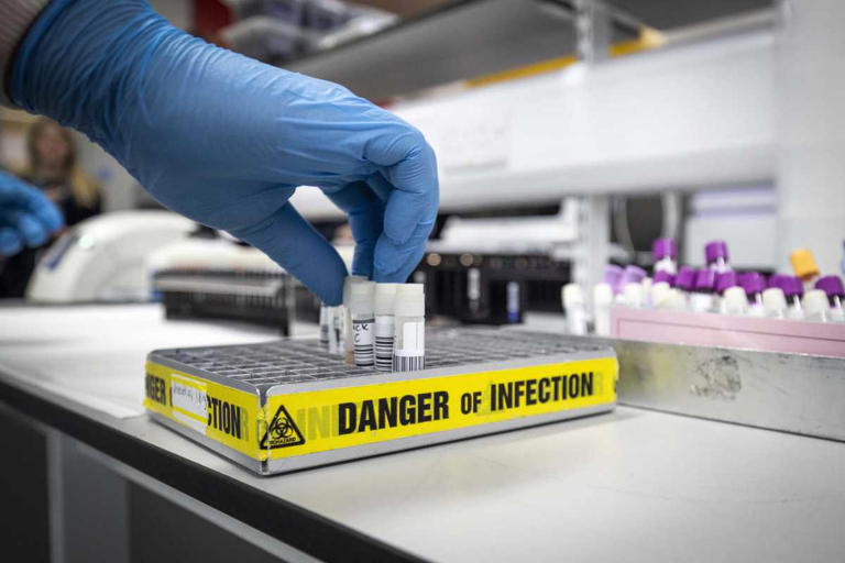 Gabbard drops intel bomb on US-funded biolabs, warns of dangerous ...