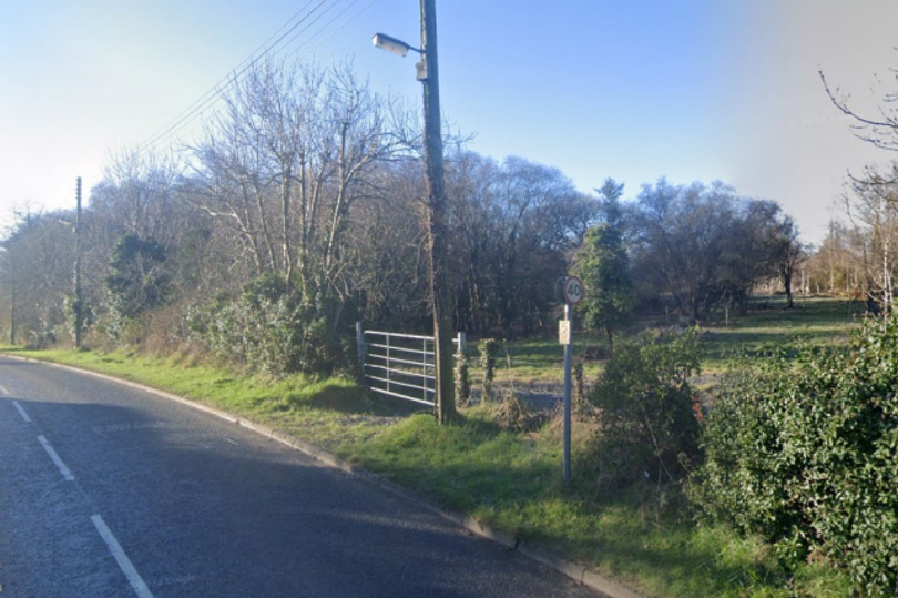 Old County Down woodland saved from housing development by community
