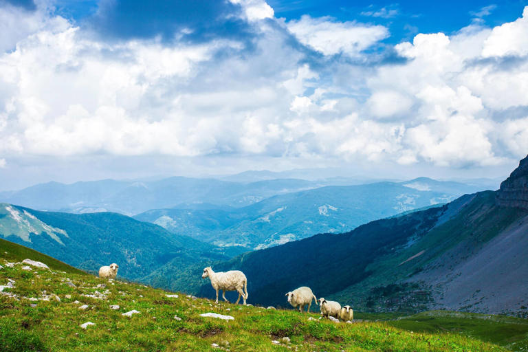 Montenegro: Neuer Wanderweg führt durch eine fast vergessene Bergwelt