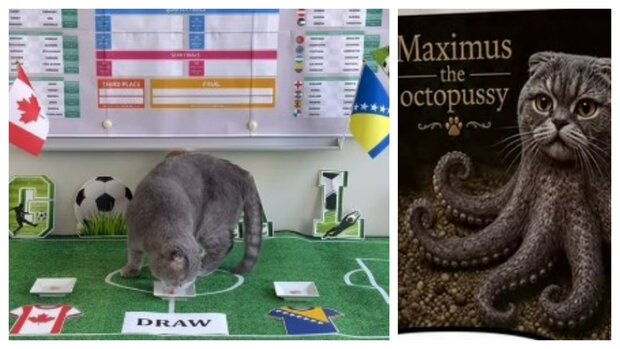 Memorias de Pulpo Paul: el gato de un primer ministro se prueba como ...