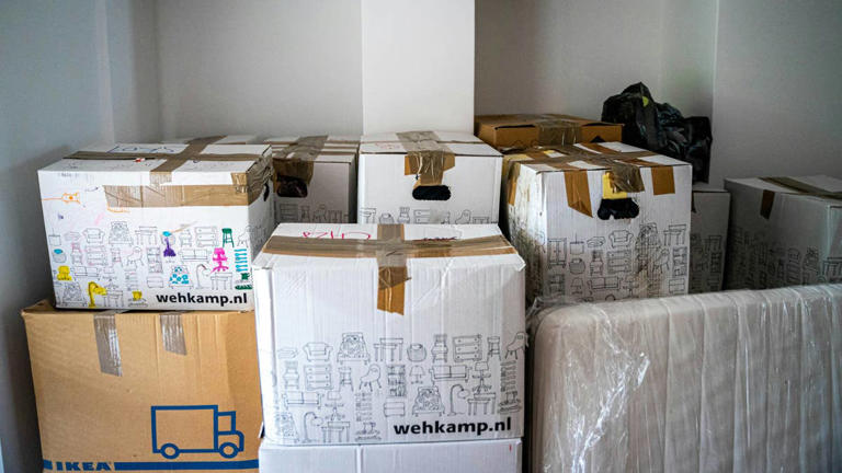 Expert warns against 5 items you shouldn't pack in a moving truck ...