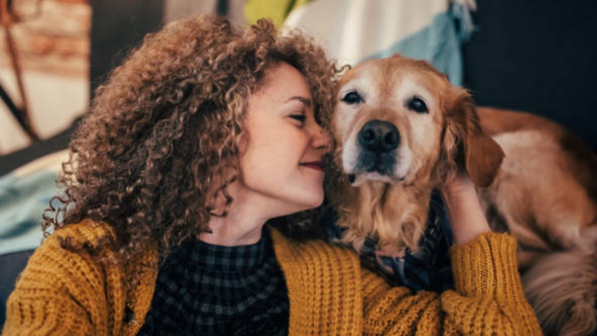 If your dog shows these 13 behaviors, experts say don't ignore them