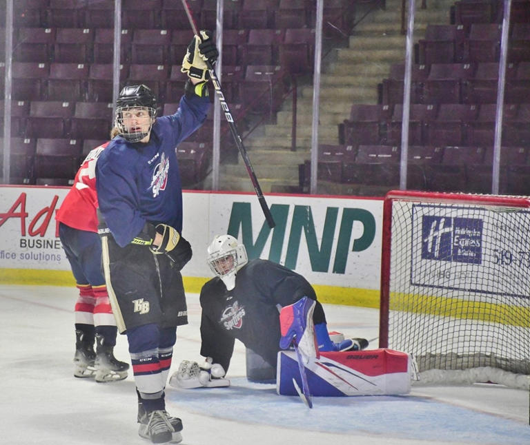 Spitfires sign 2025 CHL import pick & Red Wings’ prospect Michal Svrcek