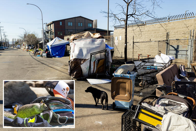 Deadly disease kills 1 near Berkeley homeless camp as disturbing ...