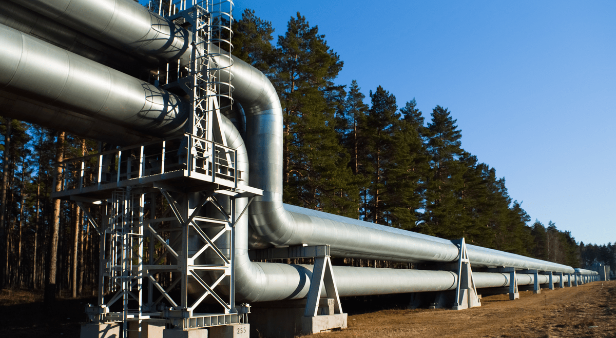 Eco Innovation Group advances SAF test plant development as EPCM ...