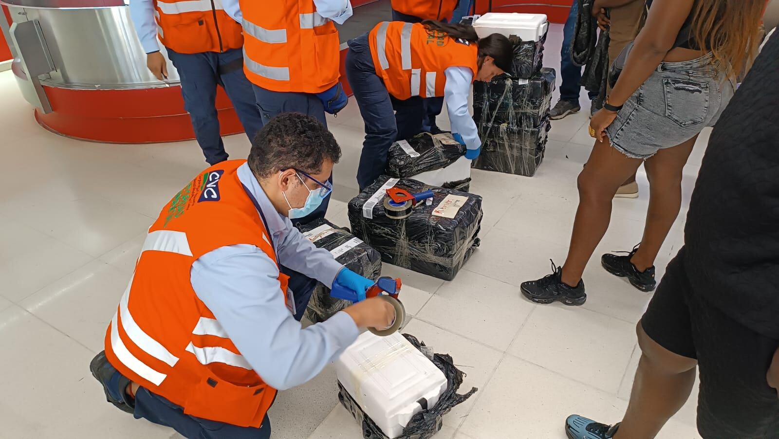 Incautan carne de armadillo en el aeropuerto a donde llegan los ...
