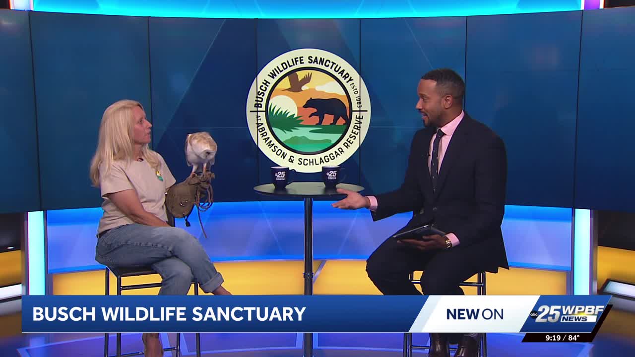 Busch Wildlife Sanctuary sees increase in patients