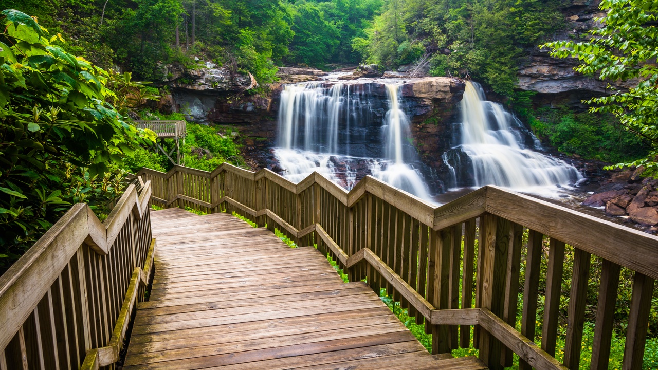 West Virginia has a canyon 1,000 feet deep, and the water runs amber ...
