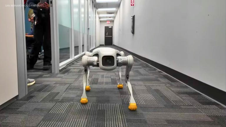 New Southern California robot dog could change rescue operations