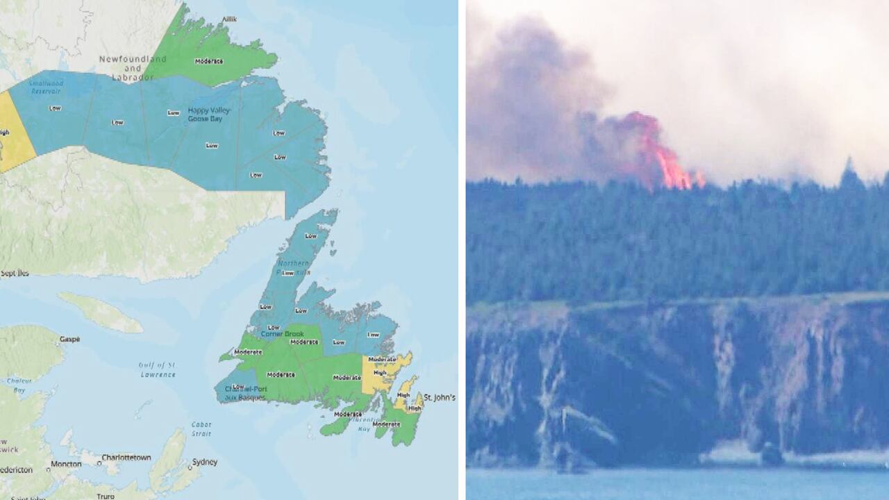 Forest fire season arrives with a website and new restrictions