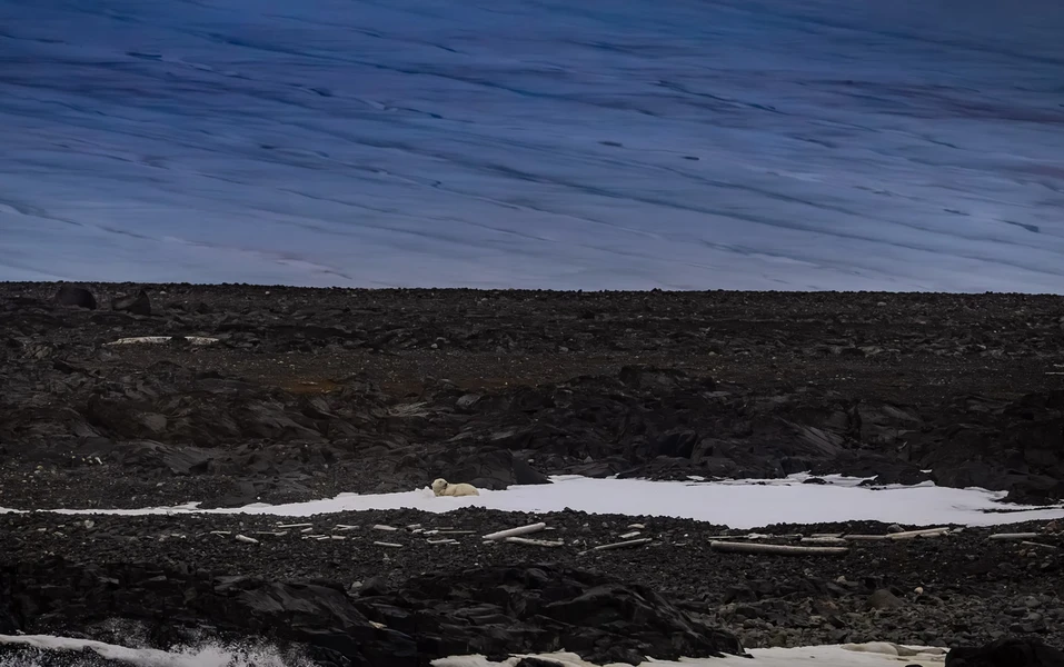 Your first trip to Svalbard made simple