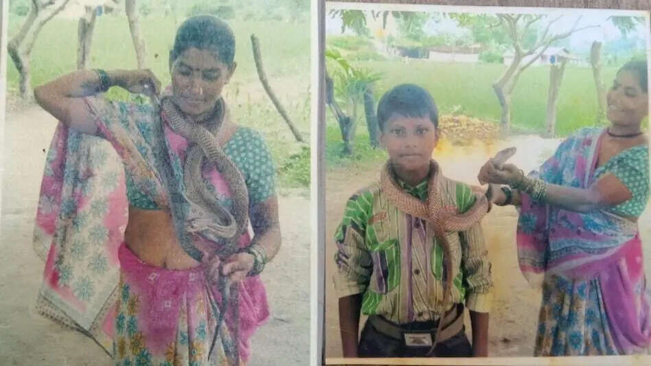 ‘Snake Lady’ of West Champaran spends four decades rescuing venomous ...