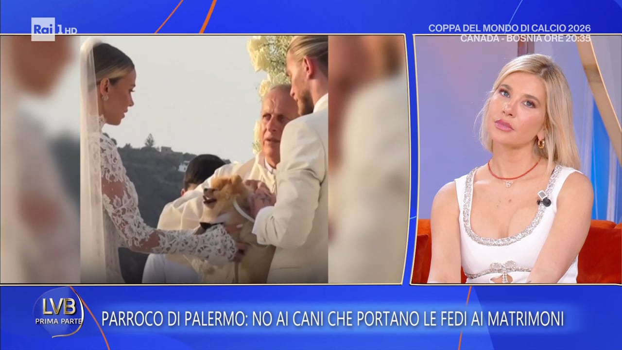 Parroco di Palermo: "No ai cani che portano le fedi ai matrimoni" - La ...