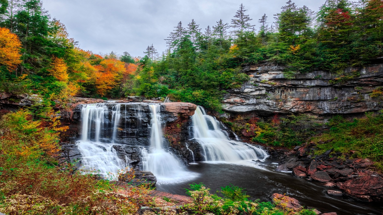 West Virginia has a canyon 1,000 feet deep, and the water runs amber ...