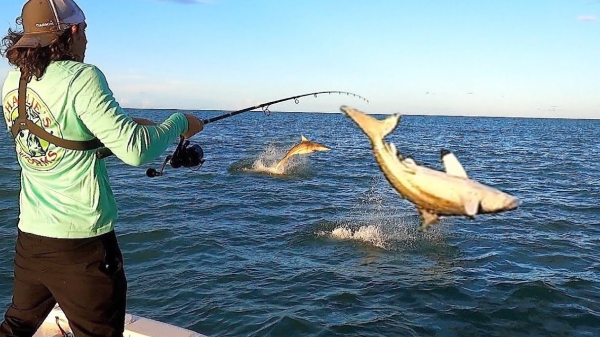They thought they were safe from sharks until one shark decided to jump ...
