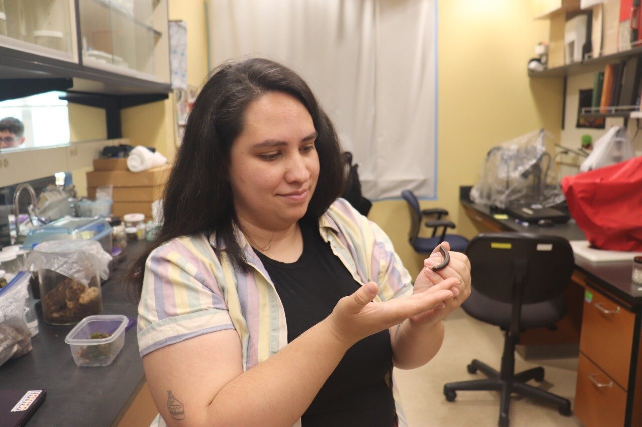 New findings complete first evolutionary history of all living ...