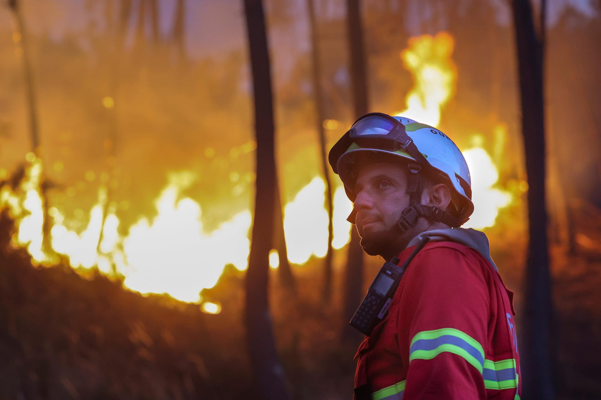 Fogo em Gondomar corta EN15 e obriga a evacuar motel