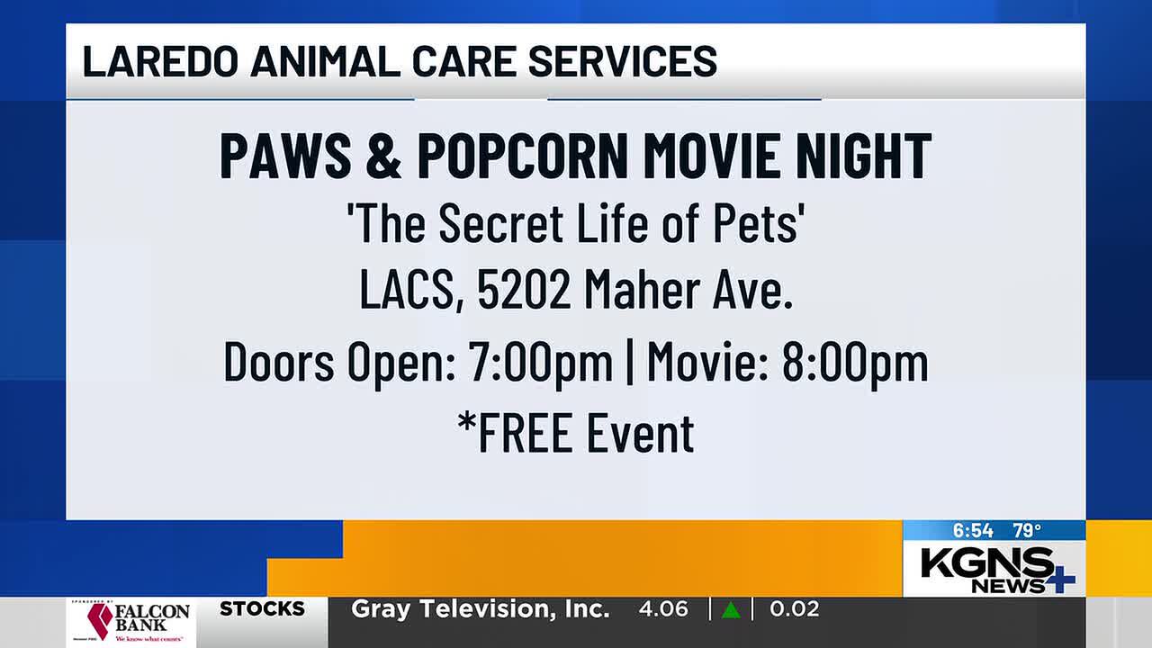 Laredo animal shelter hosts outdoor movie night