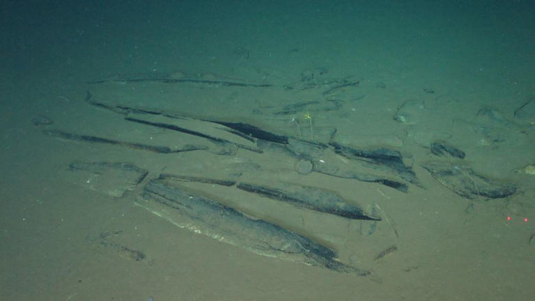 A submersible ride revealed a vast whale graveyard. And it holds more ...
