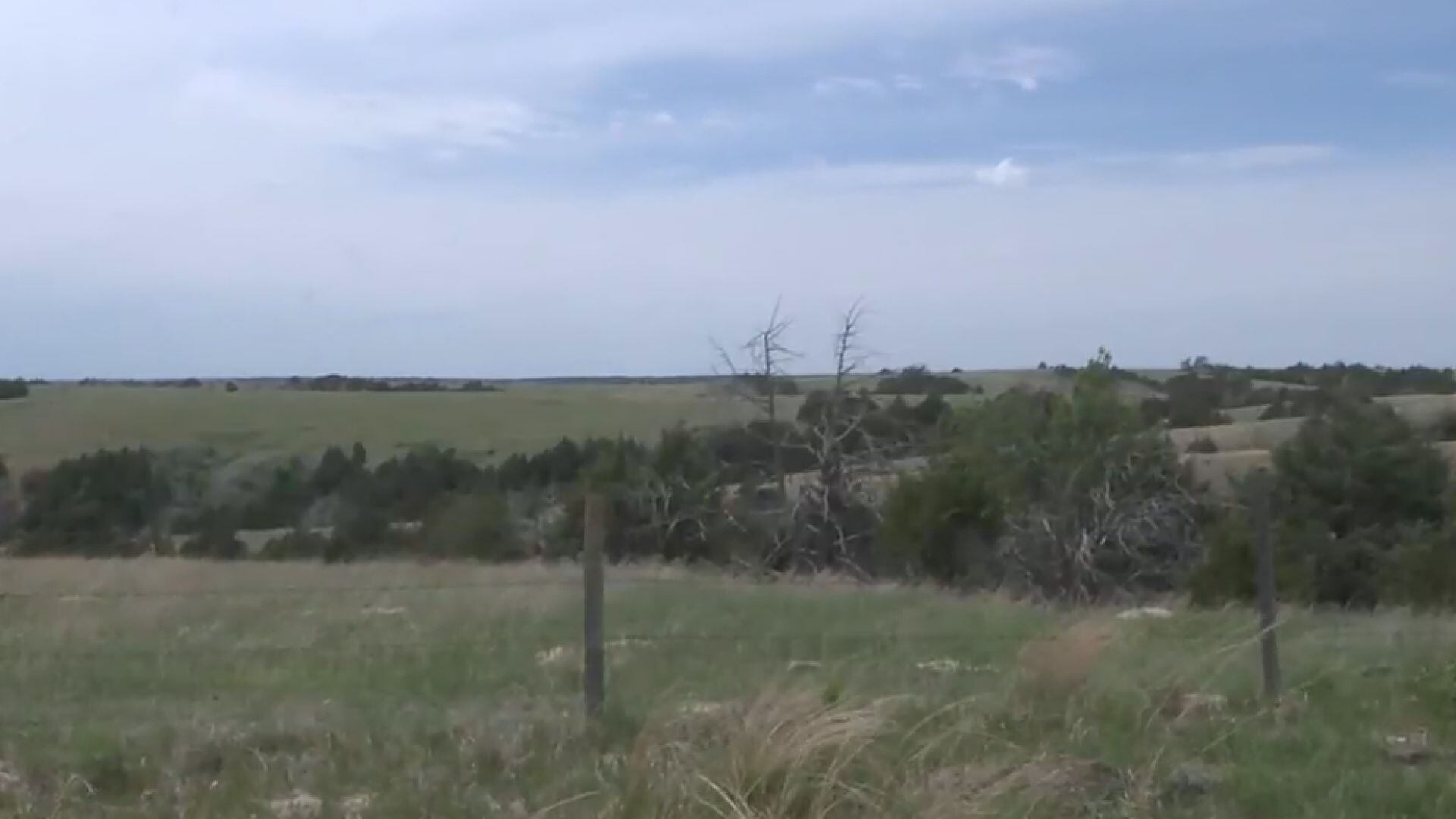 Wildfire recovery: Nebraska pastures are greening up, but the timeline ...
