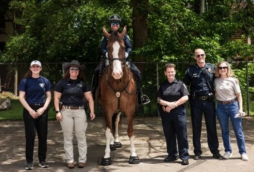 Madison Police celebrates mounted patrol horse Buckets earning badge