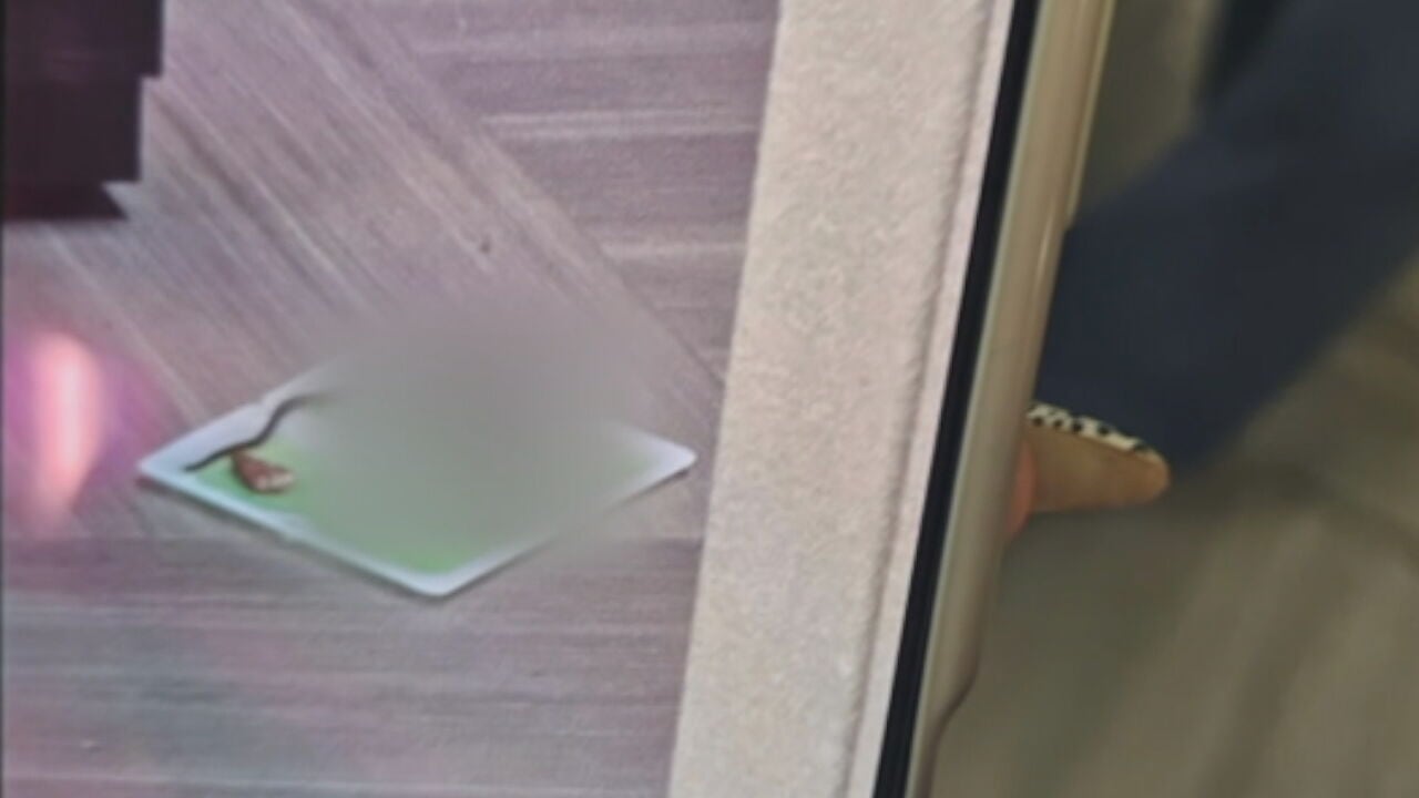 IRS allows Chamblee employees to work from home after weeks of rat ...