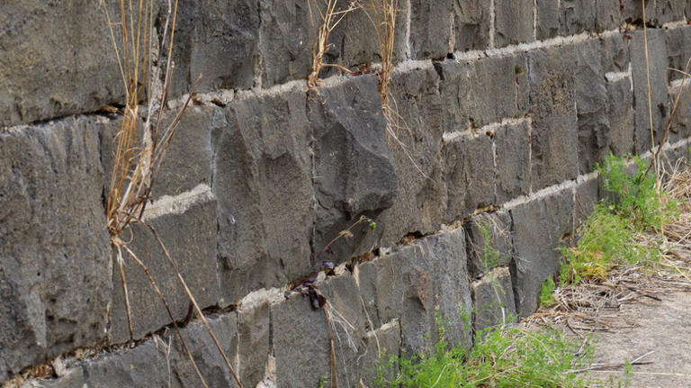 Not brick or slate: The retaining wall material that adds privacy ...