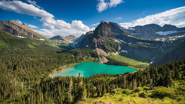 Grizzly bear mauls hiker, drags him dozens of feet on Glacier National ...