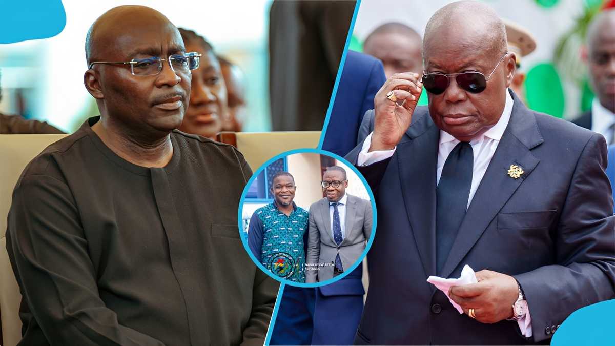 Paparazzi: Tragedy strikes the NPP as popular activist reportedly ...