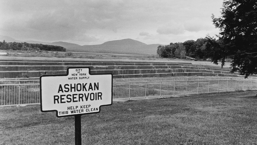 New York's reservoirs and pristine water sources