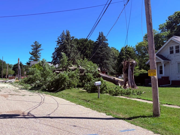 Thursday night’s storms bring widespread damage but so far, no injuries
