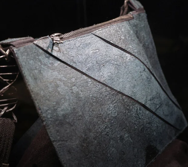 Bolsa produzida a partir de células de T-Rex vai a leilão por milhões ...