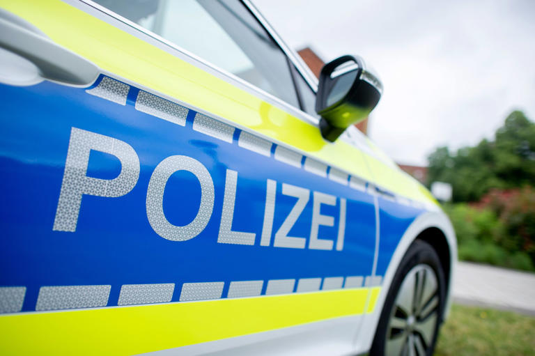 Rätsel um tote Katzen – DNA-Test soll Wildtier entlarven