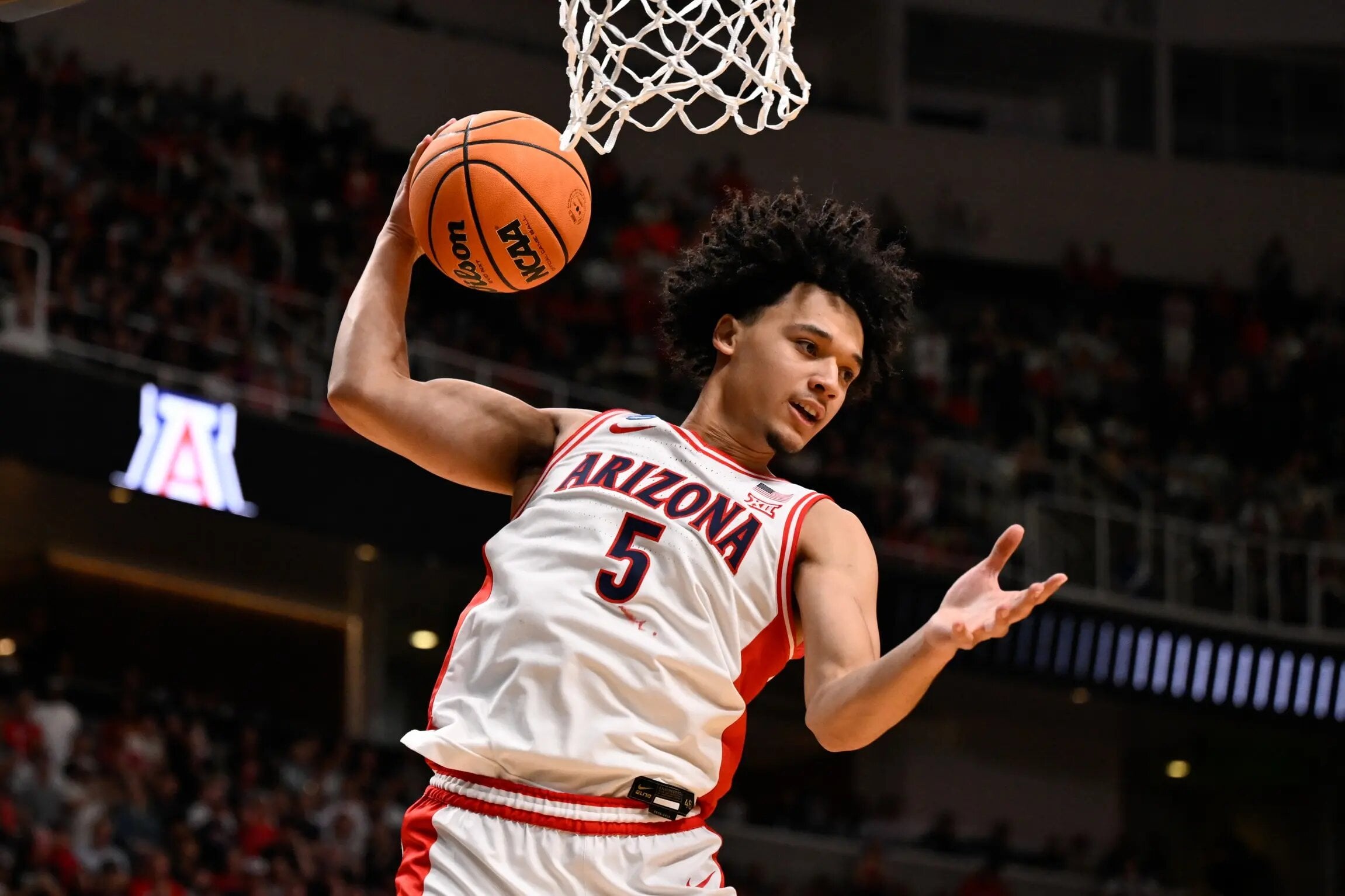 2026 NBA Draft: Hornets Could Be Massive Winners If Brayden Burries Falls