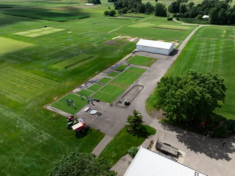 Inside the painstaking, yearslong process of making perfect grass for ...