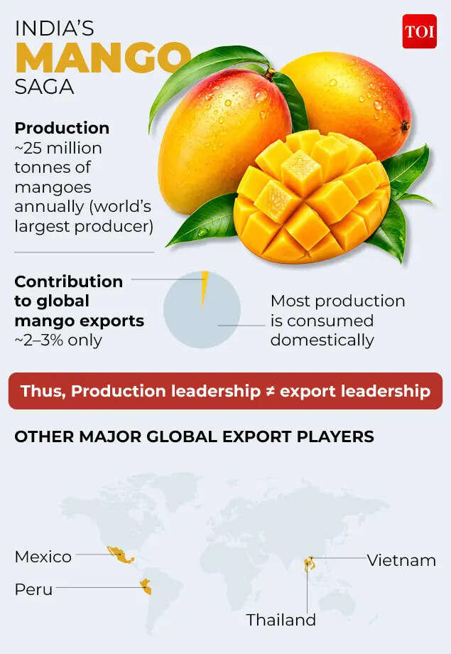 Can India become a mango export powerhouse? Opportunities, challenges ...