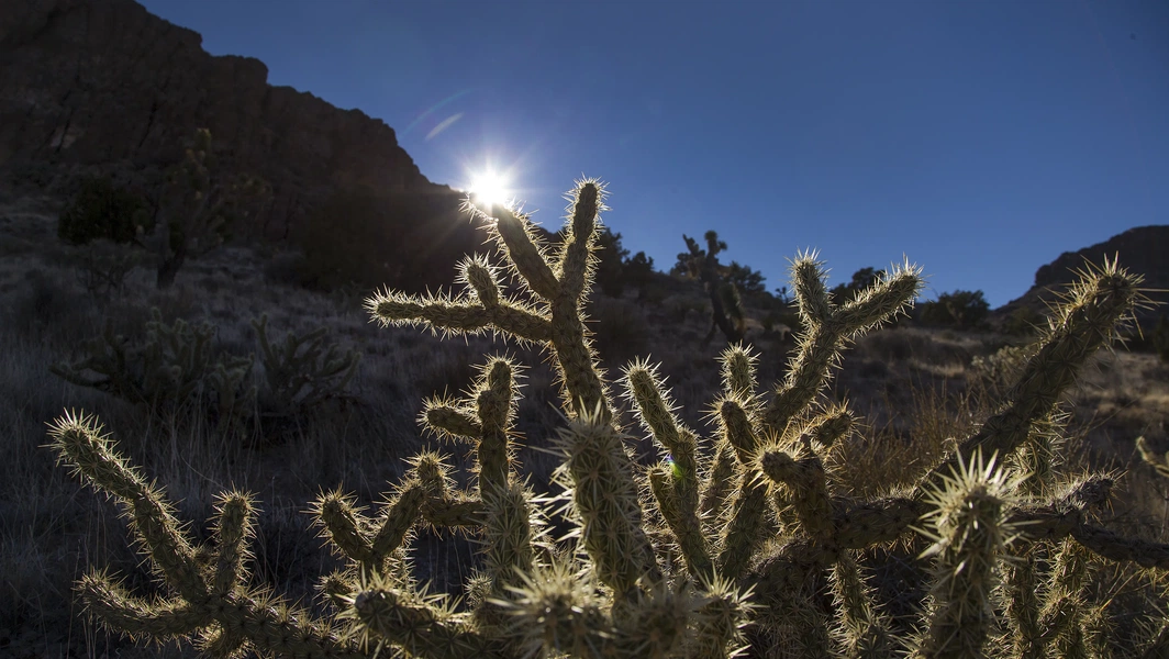 Mojave Trails National Monument's landscapes and heritage