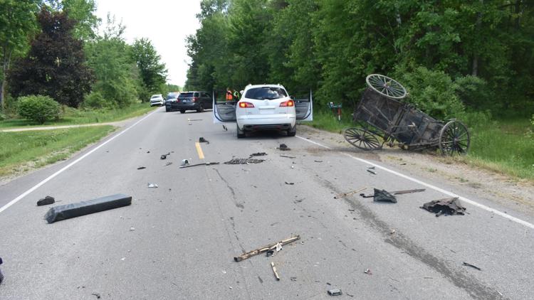 11-year-old Amish boy seriously hurt, horse dead after buggy crash in ...