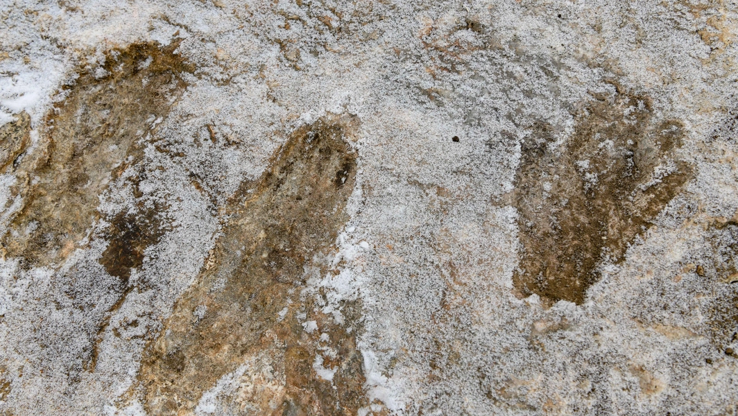 6.05-million-year-old footprints in Crete rewrite human evolution