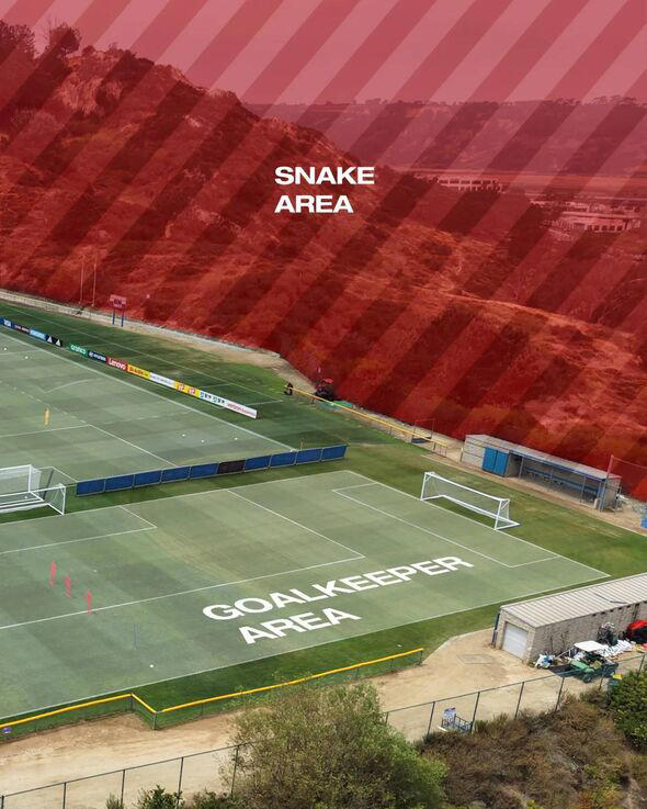 World Cup stars warned about dangerous 'snake area' next to training ...