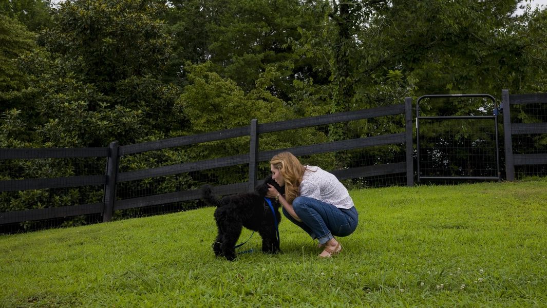 How dogs understand words, tone, and body language