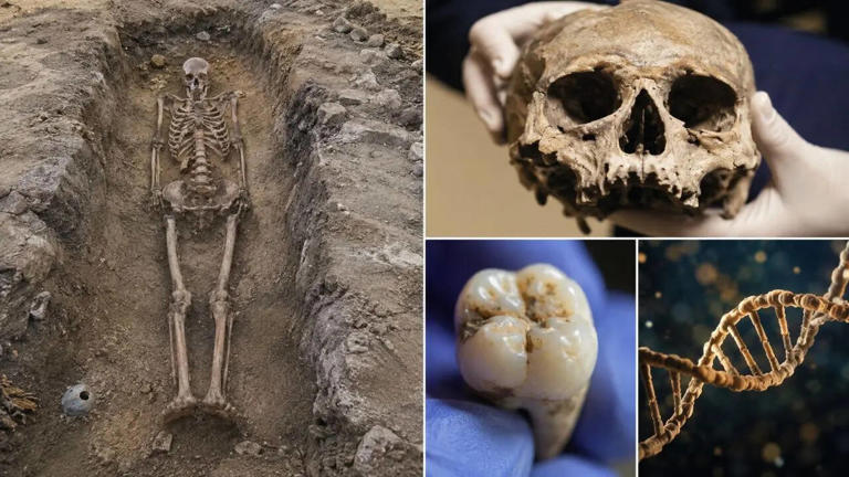 400-year-old burial in Finland uncovers a man whose bones, DNA, and ...