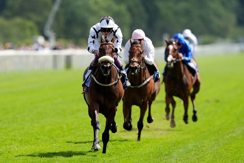 Horse power: Red Spells Danger to win at York and Manatee Mehmas can ...