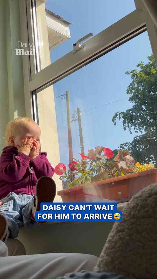 Toddler's daily window watch for grandpa melts hearts